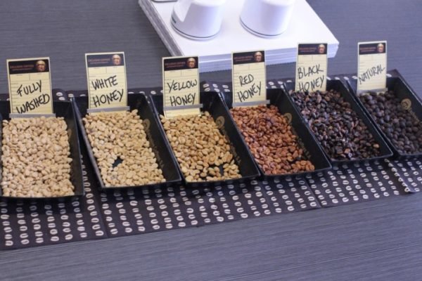 Honey Coffee Process – Part 2. The Full Spectrum of Honey Process ...